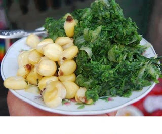 PLANTAS ANCESTRALES - MAZAMARI- SELVA CENTRAL: 2016