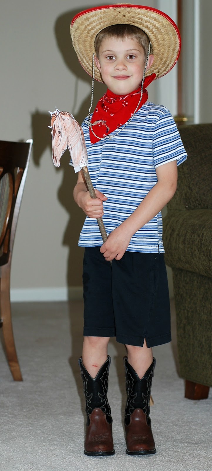 Herman's Humble Happenings: Armadillo Rodeo by Jan Brett