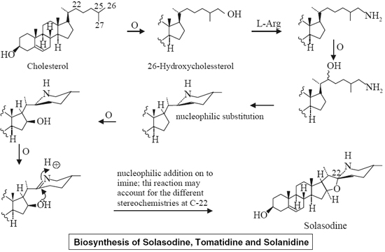 Steroidal Alkaloids