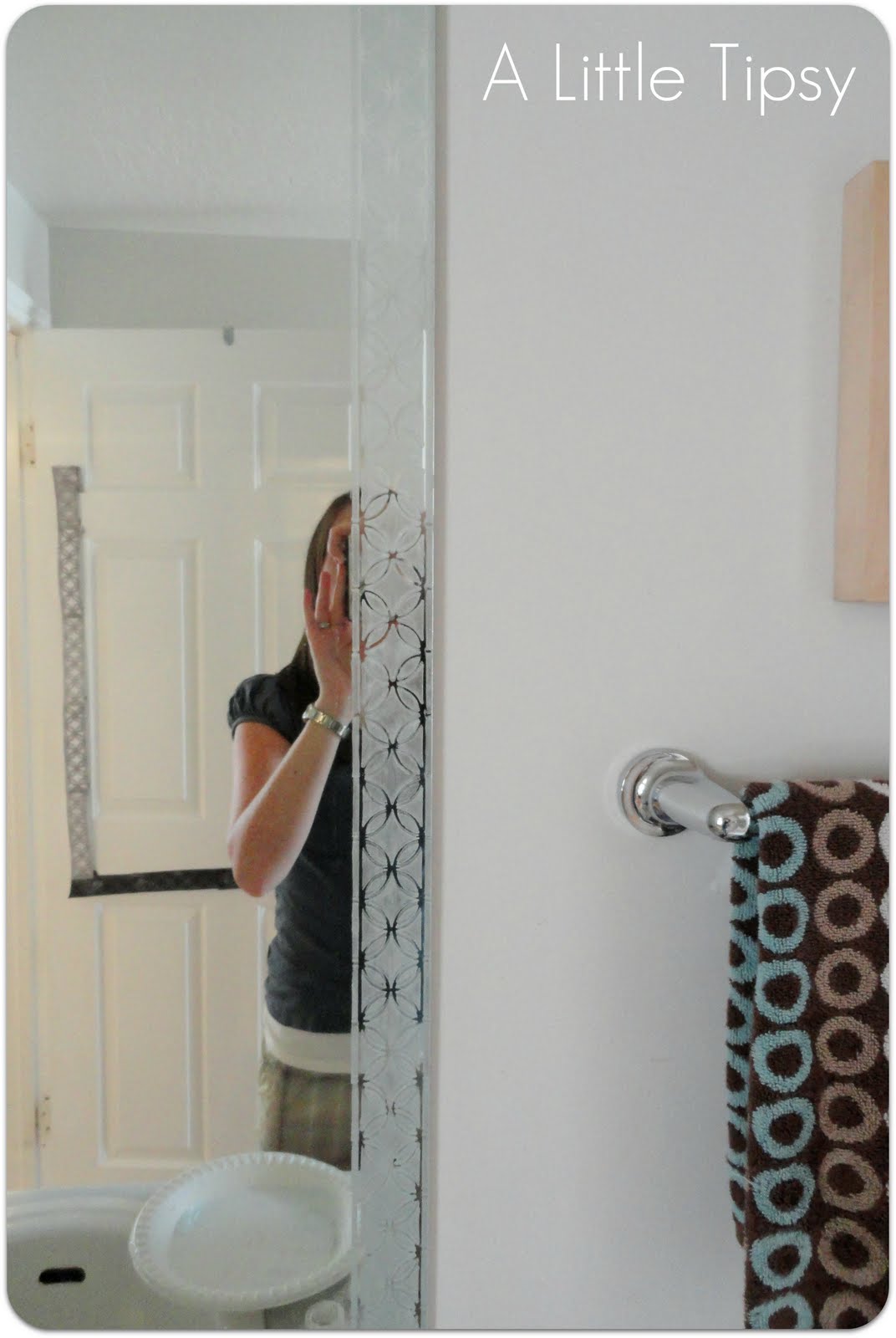 Frosted Mirror with Martha Stewart Paint - A Little Tipsy