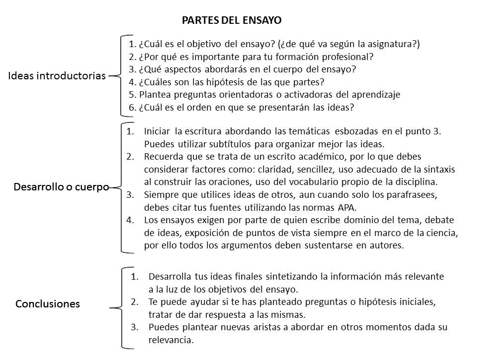 Ejemplo De Ensayo Academico