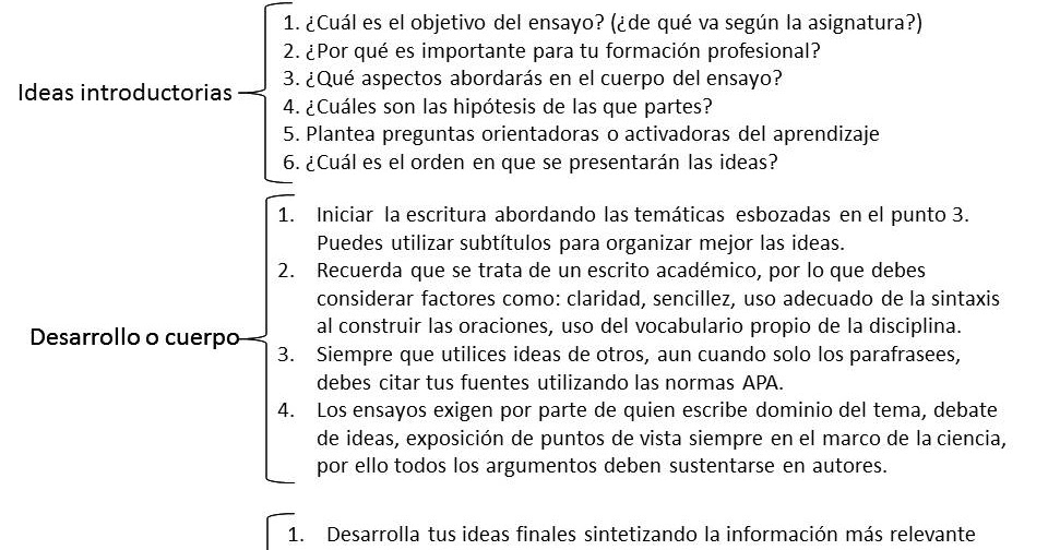 TLR: Textos Persuasivos: Ensayo