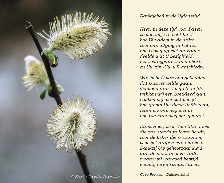 cobypoelman.blogspot.com : Dankgebed in de lijdenstijd