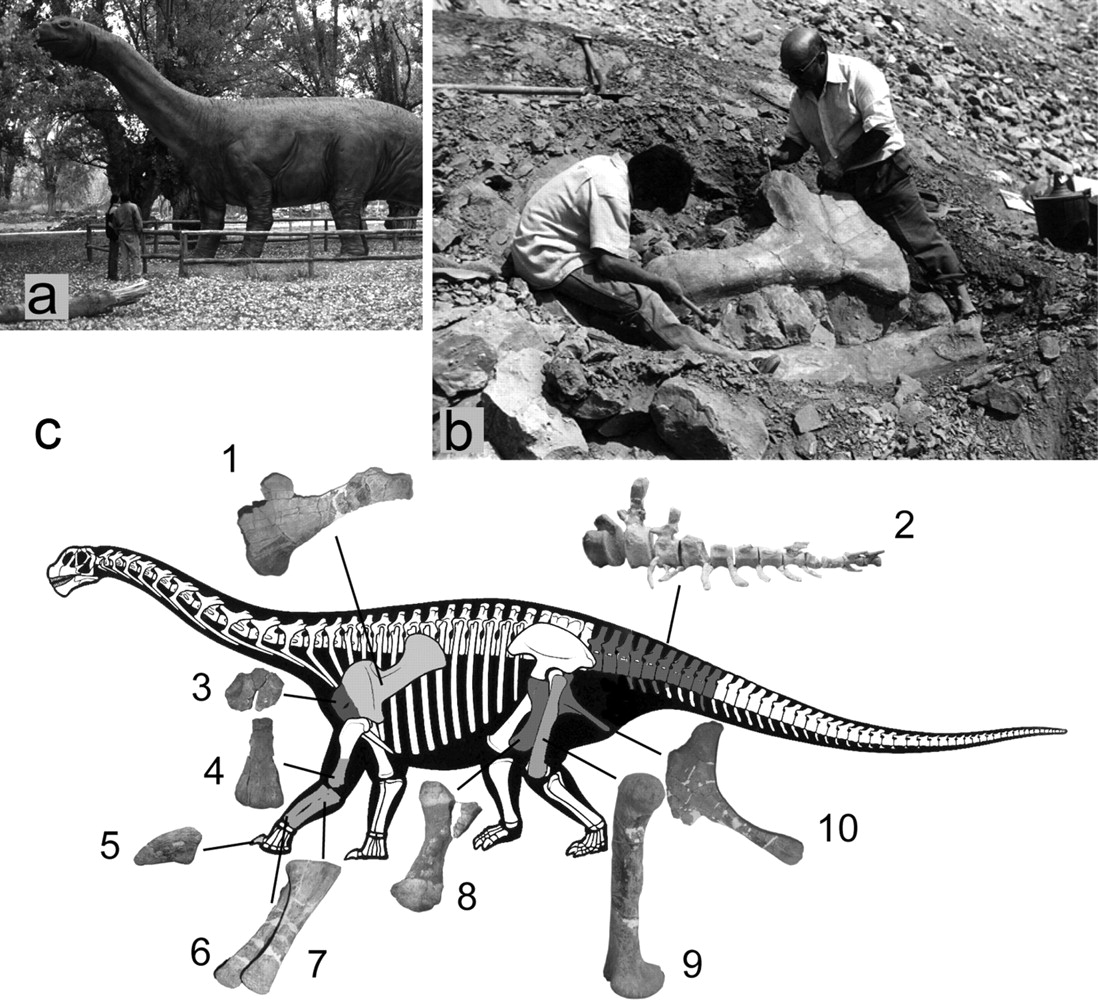Escenarios prehistóricos: Aragosaurus
