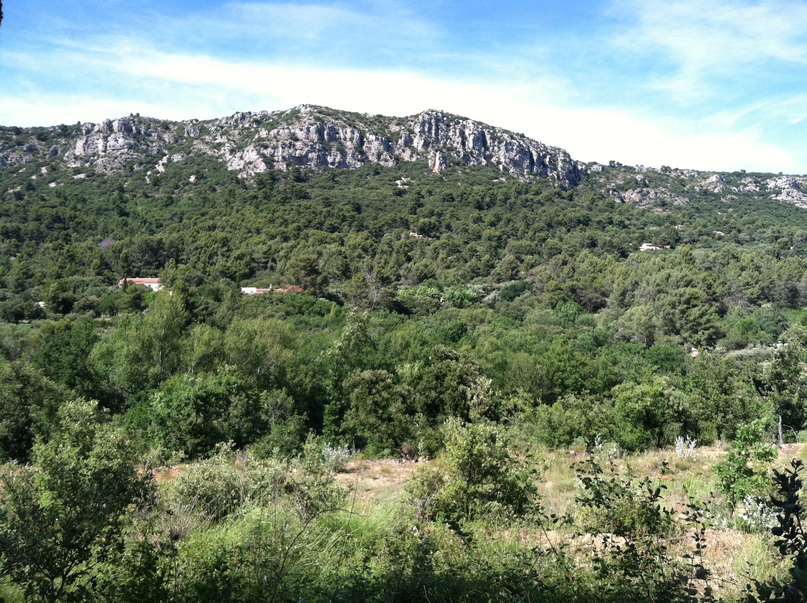 France 101: Day 28- Mount St. Victoire