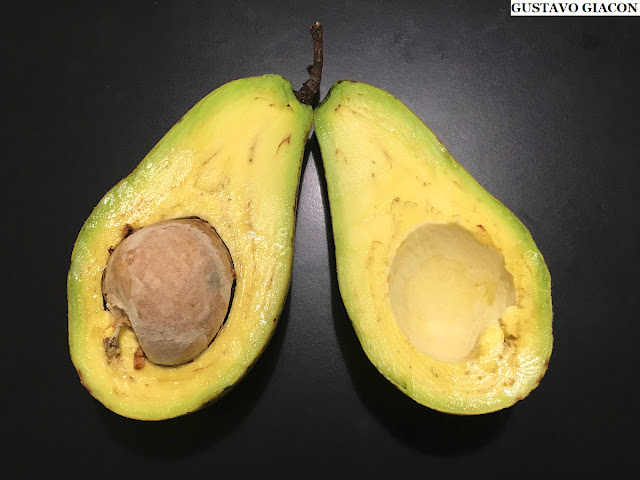 Viveiro Ciprest - Plantas Nativas e Exóticas: Abacate Manteiga ( Persea ...