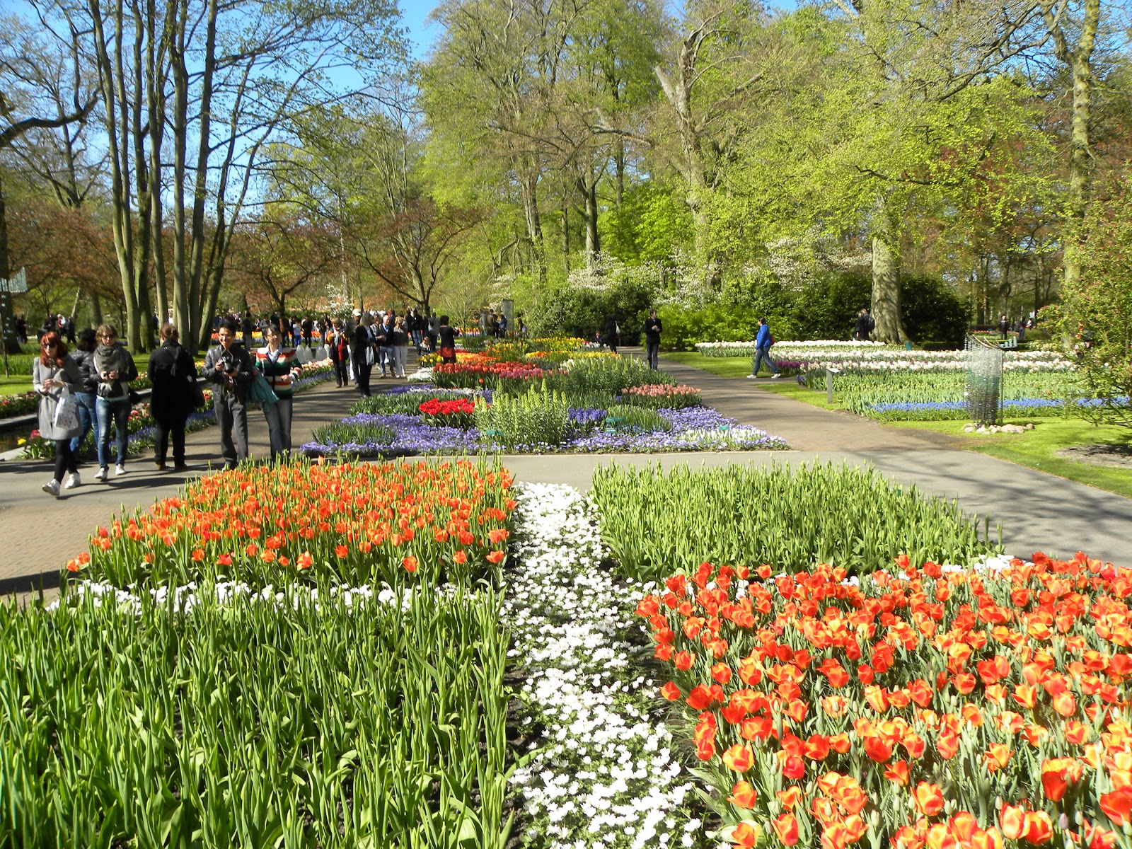 MISS PERCHITAS: Visitando el Parque Keukenhof