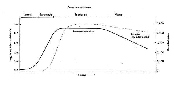 CBTIS 128 Microbiologia Equipo #1: Curva de crecimiento