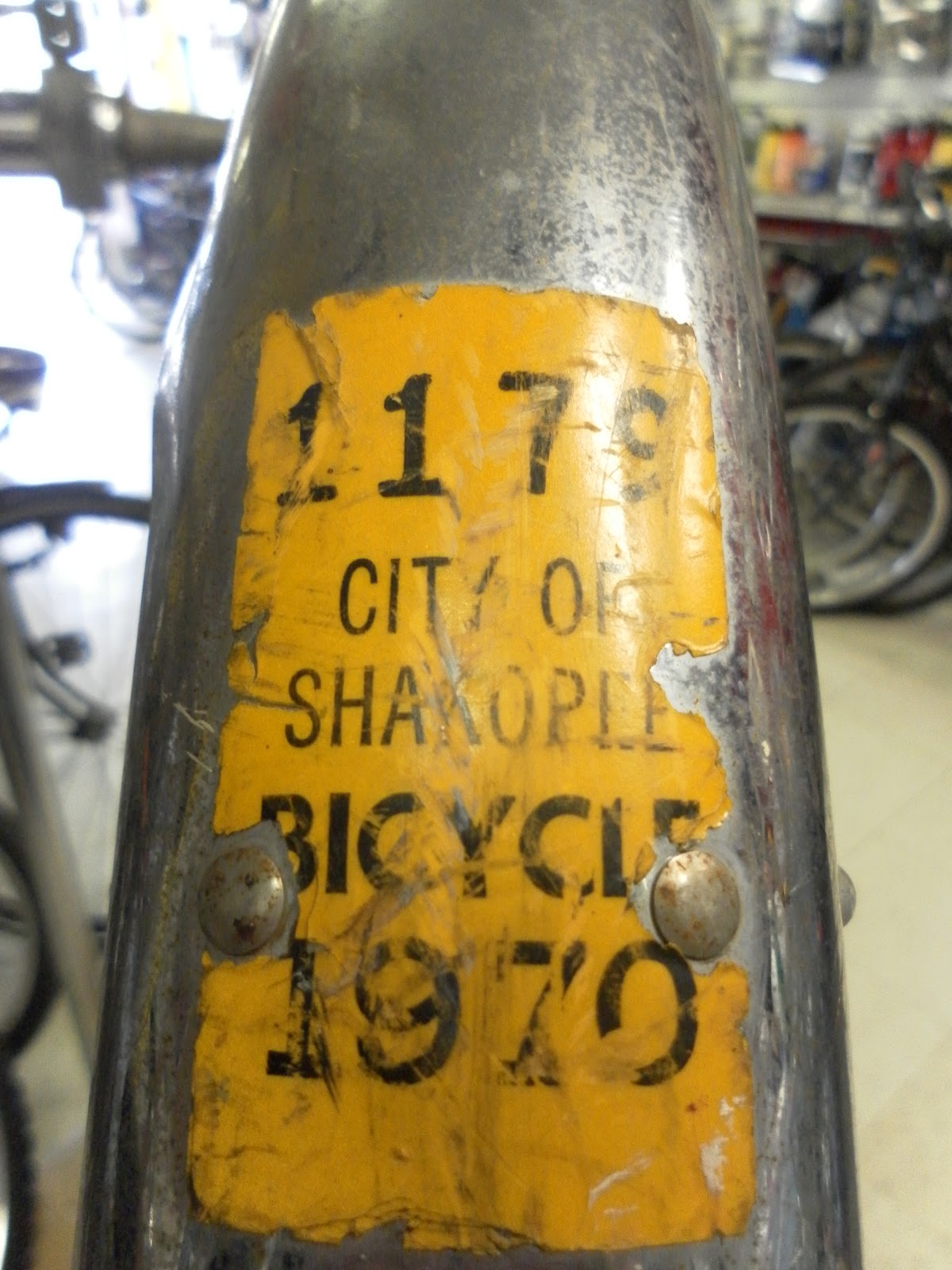 Bike TLC and Ministrations