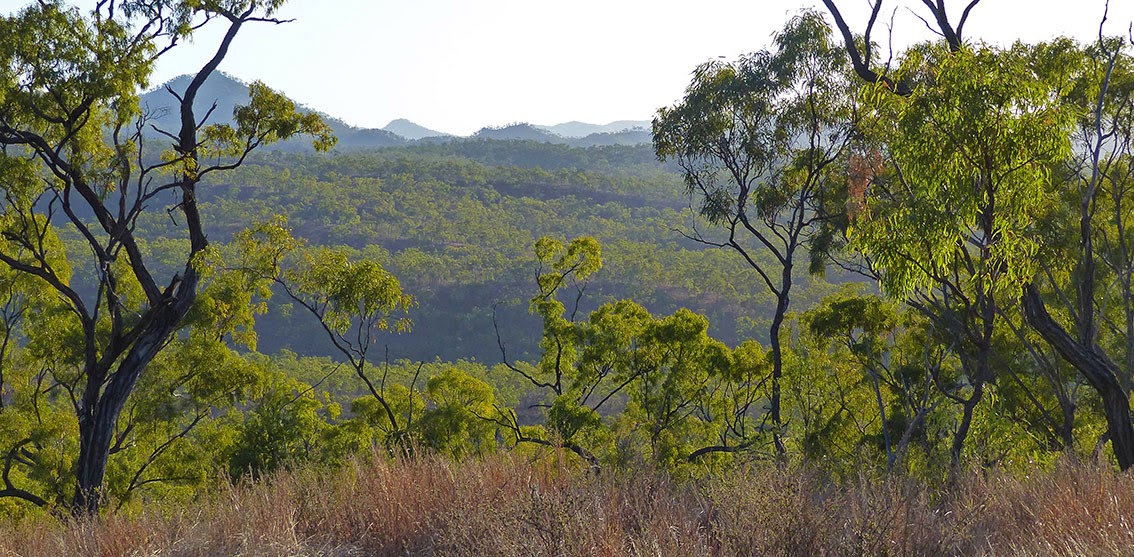 BunyipCo: September 2014