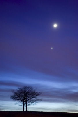 ArtSings1946: My Evening Star