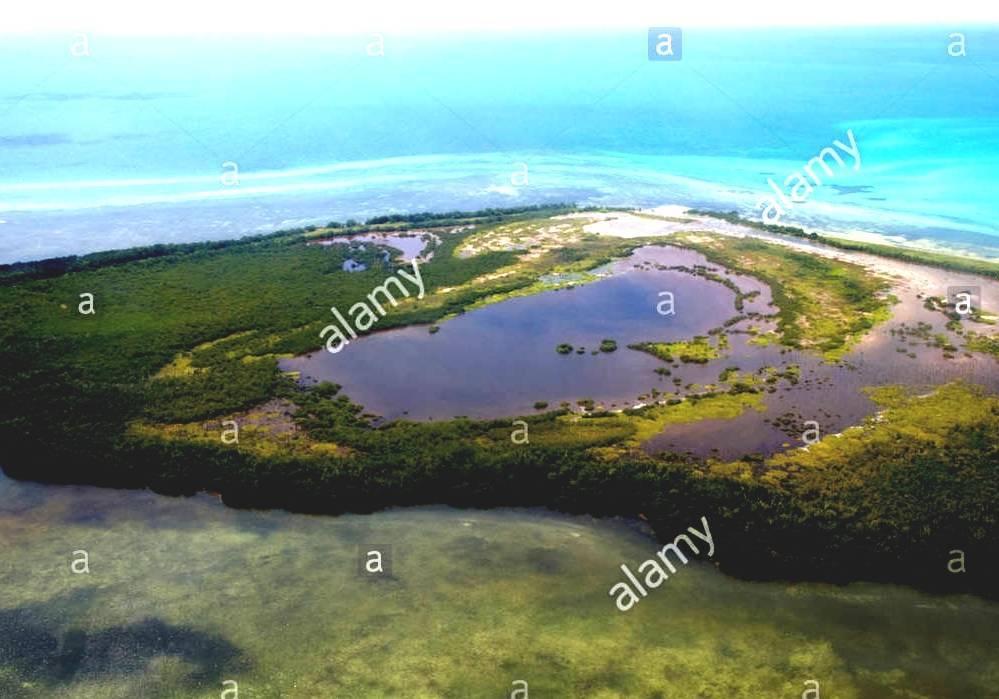 Key West National Wildlife Refuge - Florida Keys Wildlife