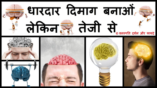 Effective Home Remedies for Sharpening Memory Brain | Education and ...