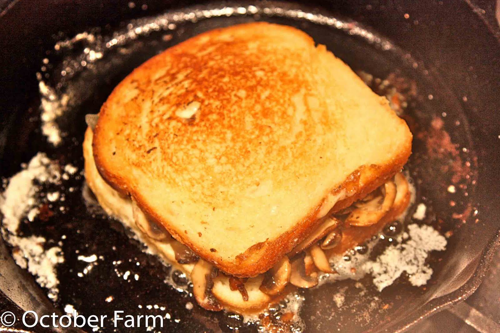Halloween Fungus Sandwiches aka Mushroom Sandwiches with Cheese and Sage