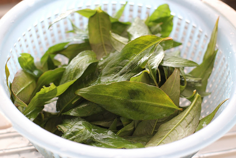 Food Endeavours of the Blue Apocalypse: Vietnamese Chicken Salad