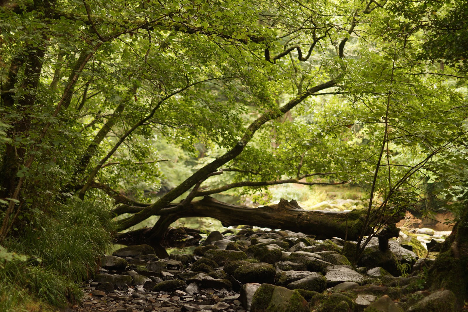 Castle Drogo and the walk to Fingle Bridge through the Teign Gorge ...