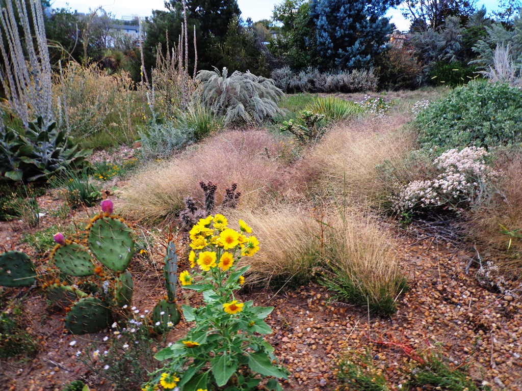 Prairiebreak: Garden