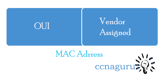 Osi Model Seven Layer Explained ~ Ccnaguru Free Ccna Tutorials Guide