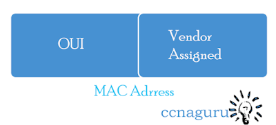 OSI Model Seven Layer Explained ~ CCNAGURU | Free CCNA Tutorials Guide ...