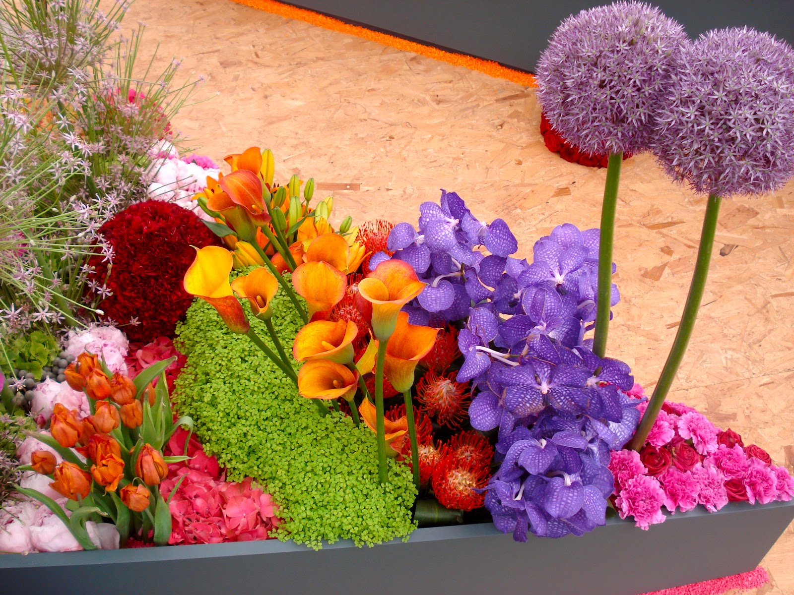 Alexandra D. Foster Destinations Perfected: London, England - RHS ...