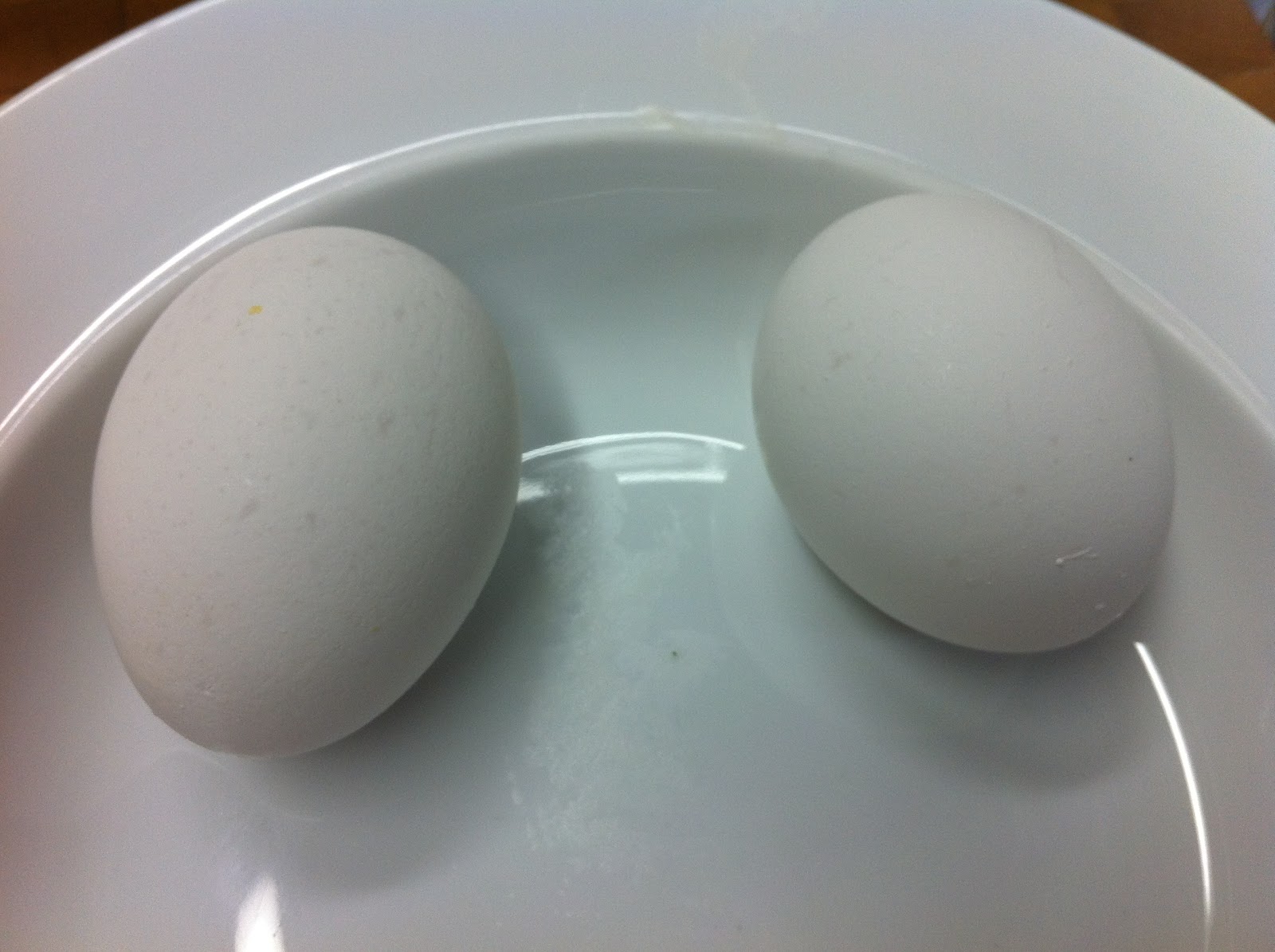 Baby PT has gone Primal!: Japanese Eggs versus American Eggs