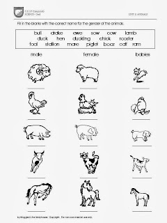 We are learning English: Cuadernillo bilingüe "animals". 2º de Primaria