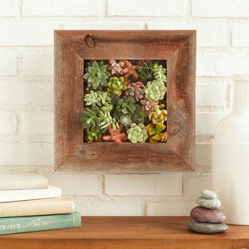 14 Gorgeous Ways to Display and Decorate with Succulents | Dans le ...