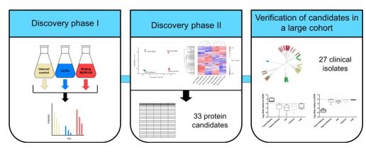News in Proteomics Research: Parallel reaction monitoring takes on the ...