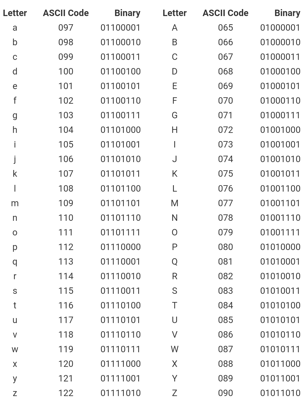 What is binary language