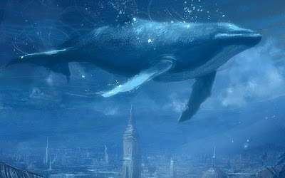 The Blue Whale | The Wildlife