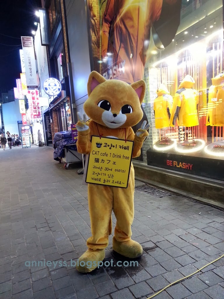 Saat Kau Sentuh Hatiku...: Minum Kopi Sambil Belai Kucing Di Cat Café ...