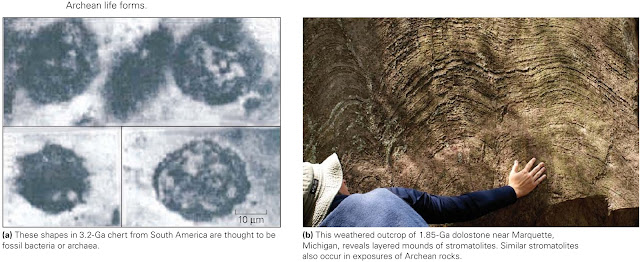 The Archean Eon: Birth of the Continents and Life - genie.minier.minig