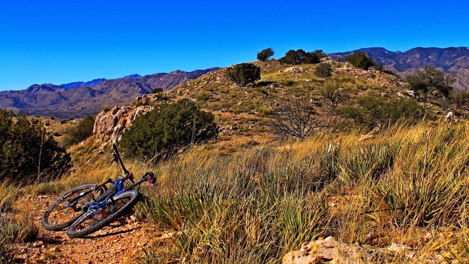 Out There: December 2013