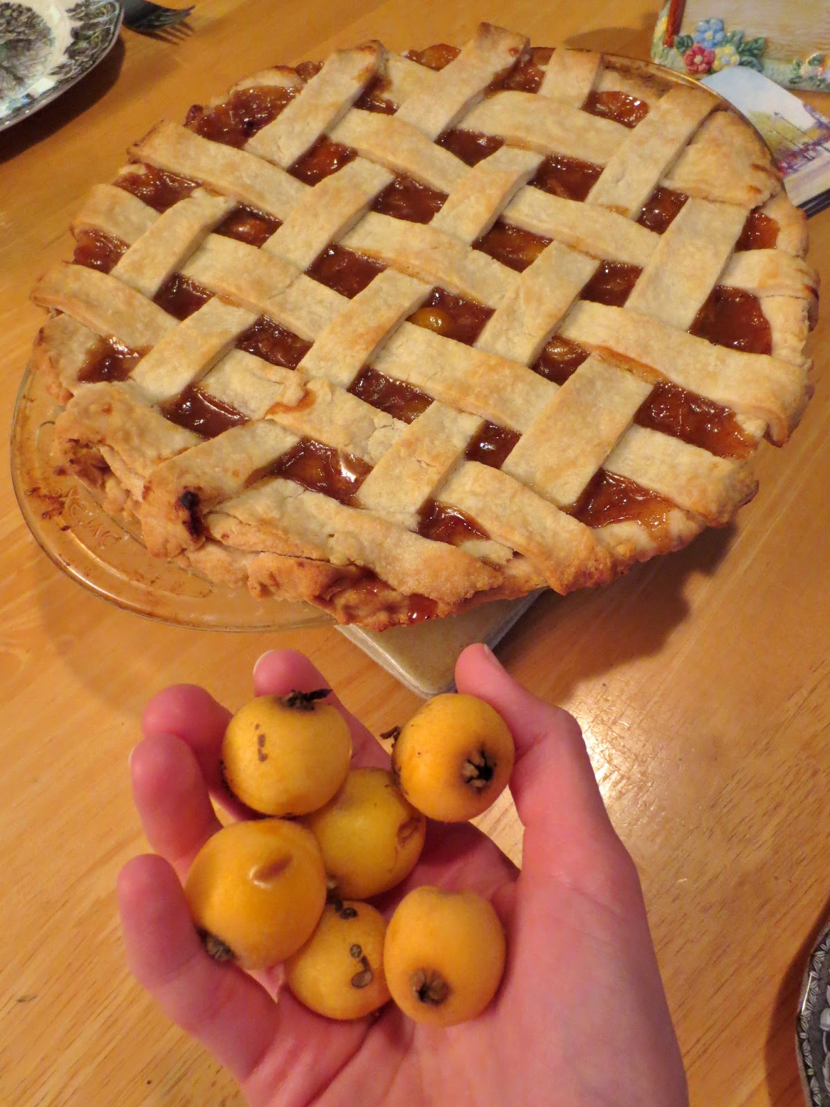 Princesses, Pies, & Preschool Pizzazz: Friday Pie-Day: Loquat Pie