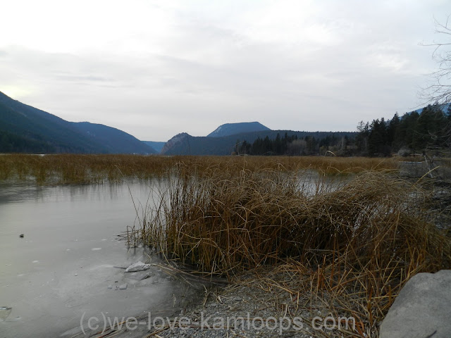 we-love-kamloops: Paul Lake ~ Pinantan Lake ~ Scheidam Flats ~ Kamloops, BC