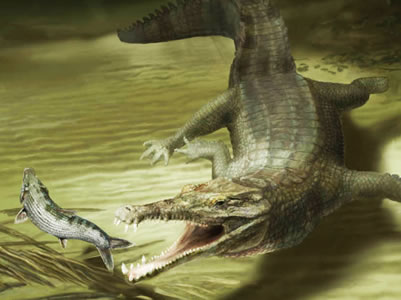 Los animales en la prehistoria: Animales prehistóricos con la letra A