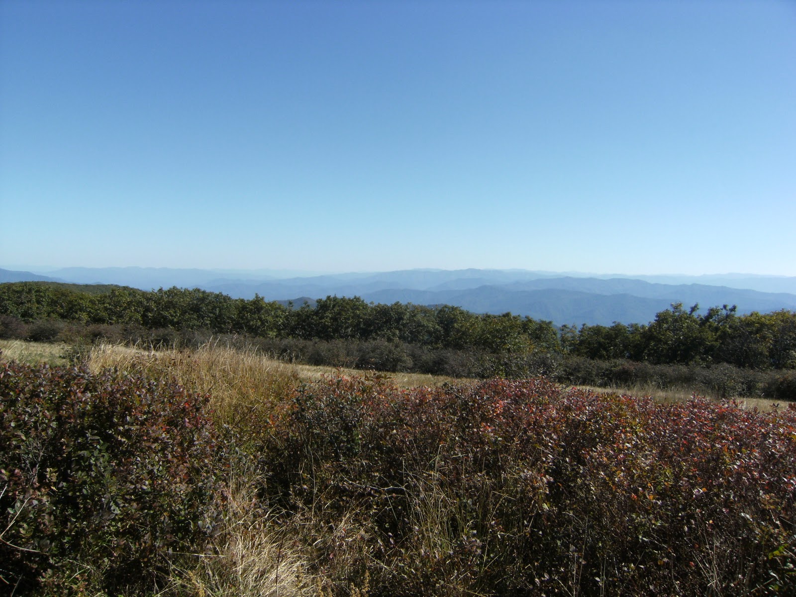 GSMNP - HIKER: Hike to Gregory Bald in the GSMNP