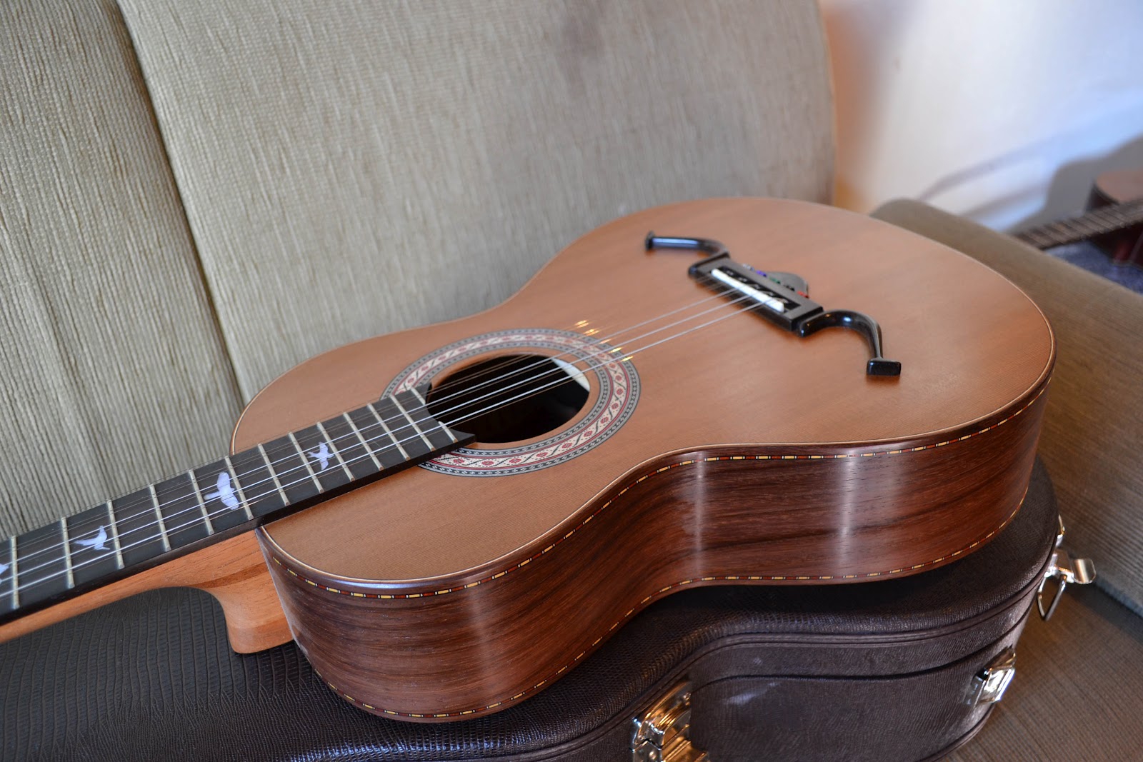 Luthier Paulo Marcos: Viola de 10 cordas