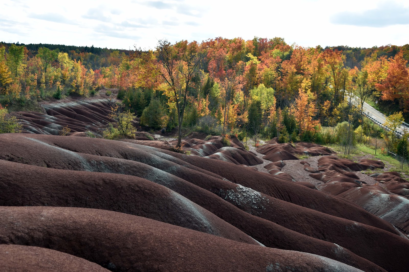 Toronto Grand Prix Tourist - A Toronto Blog: Cheltenham Badlands in ...