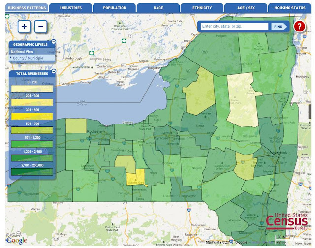 Herkimer and Oneida Counties Census Data Affiliate: County Business ...