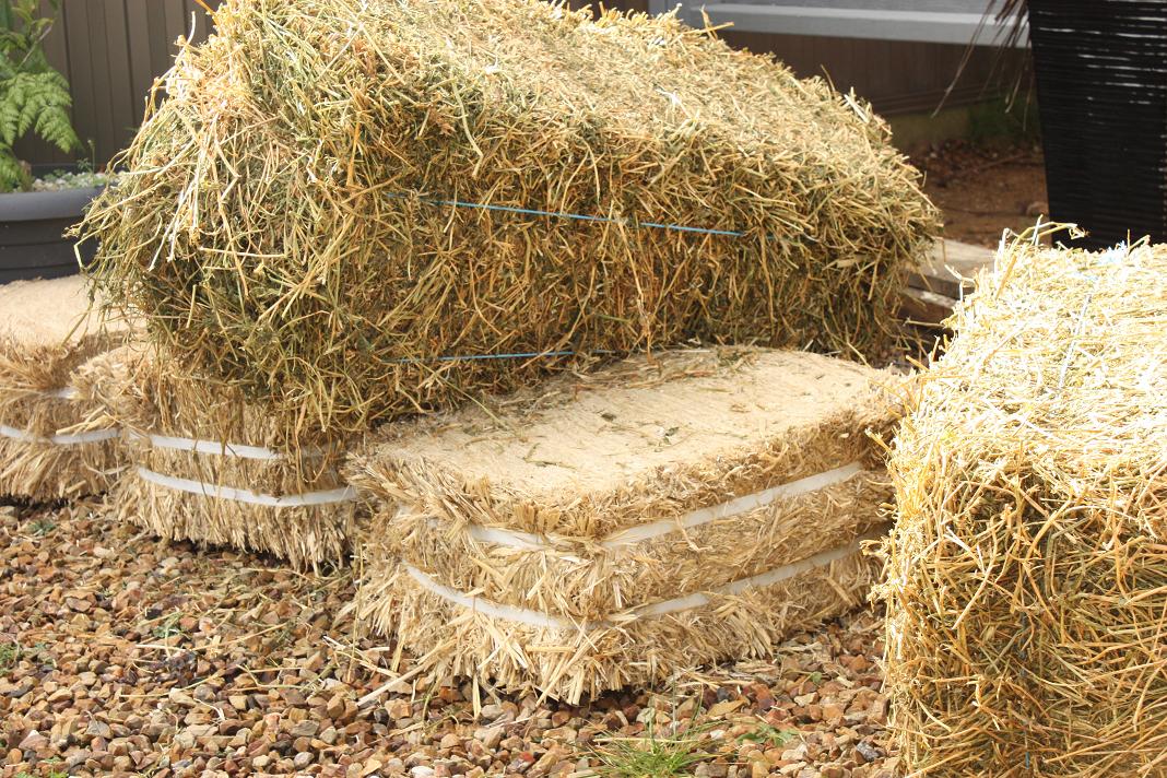 Bok Bok B'Gerk: Growing an Organic Vegetable Garden (Part 3 - Preparing ...