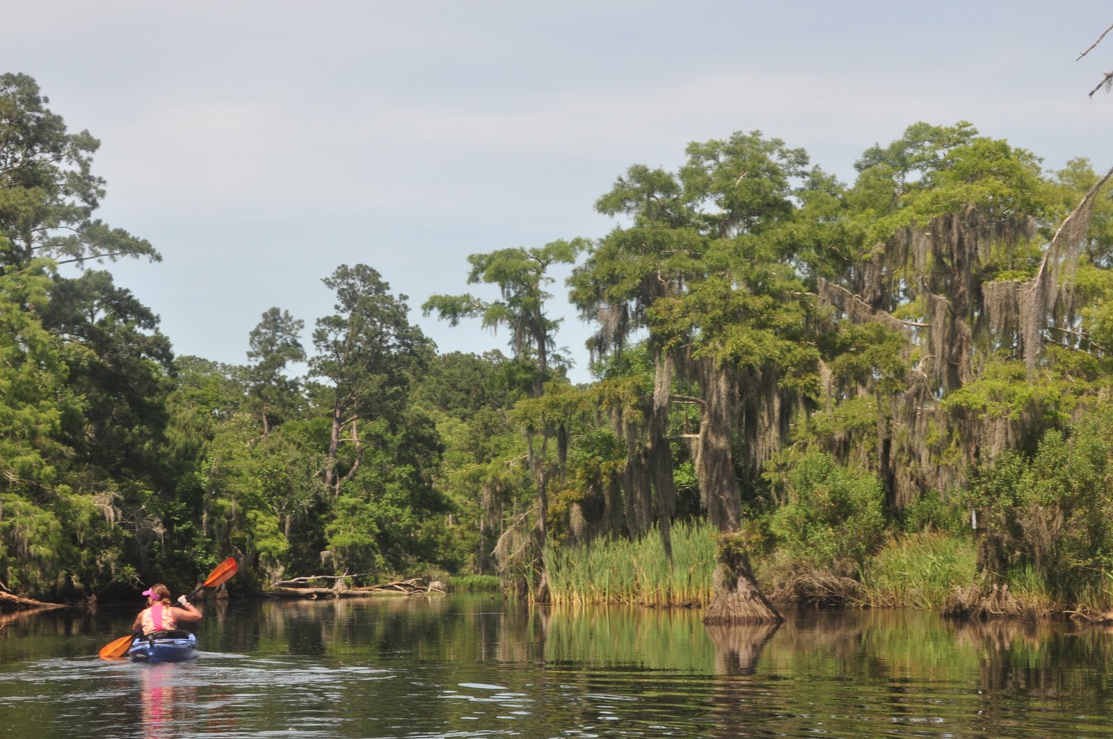 Southeastern Louisiana Paddling: Paddling Cane Bayou (or is it Bayou Cane?)