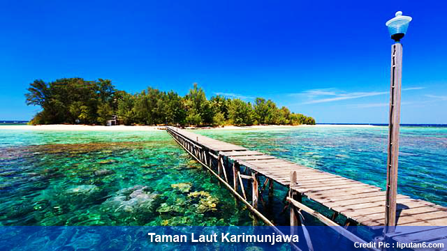 Rekomendasi Tempat Wisata Taman Laut di Indonesia - amaterasublog.com