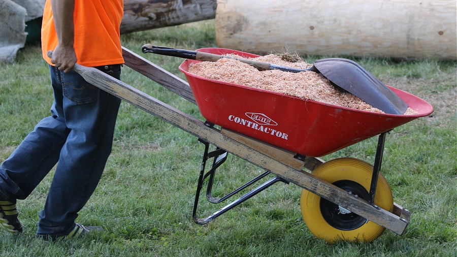 Powell River in Photos: Logger Sports - III