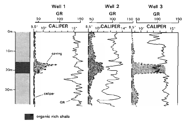 Interpretasi Well Log (Bagian 2) - Caliper Log ~ Blog Dwi Noviyanto