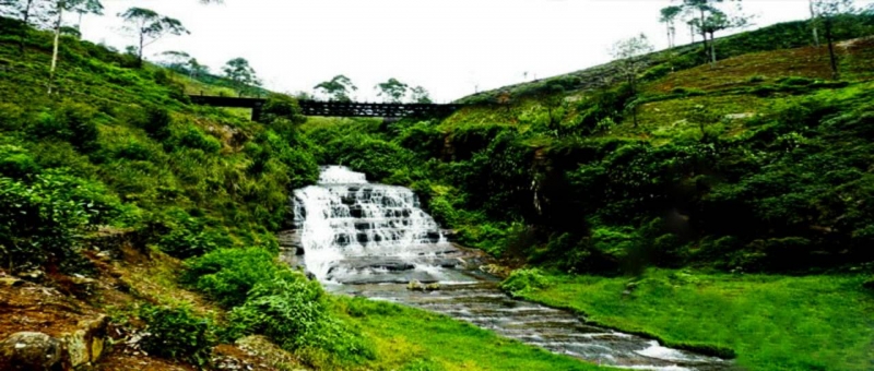 TRAVEL IN SRI LANKA: Nanu oya