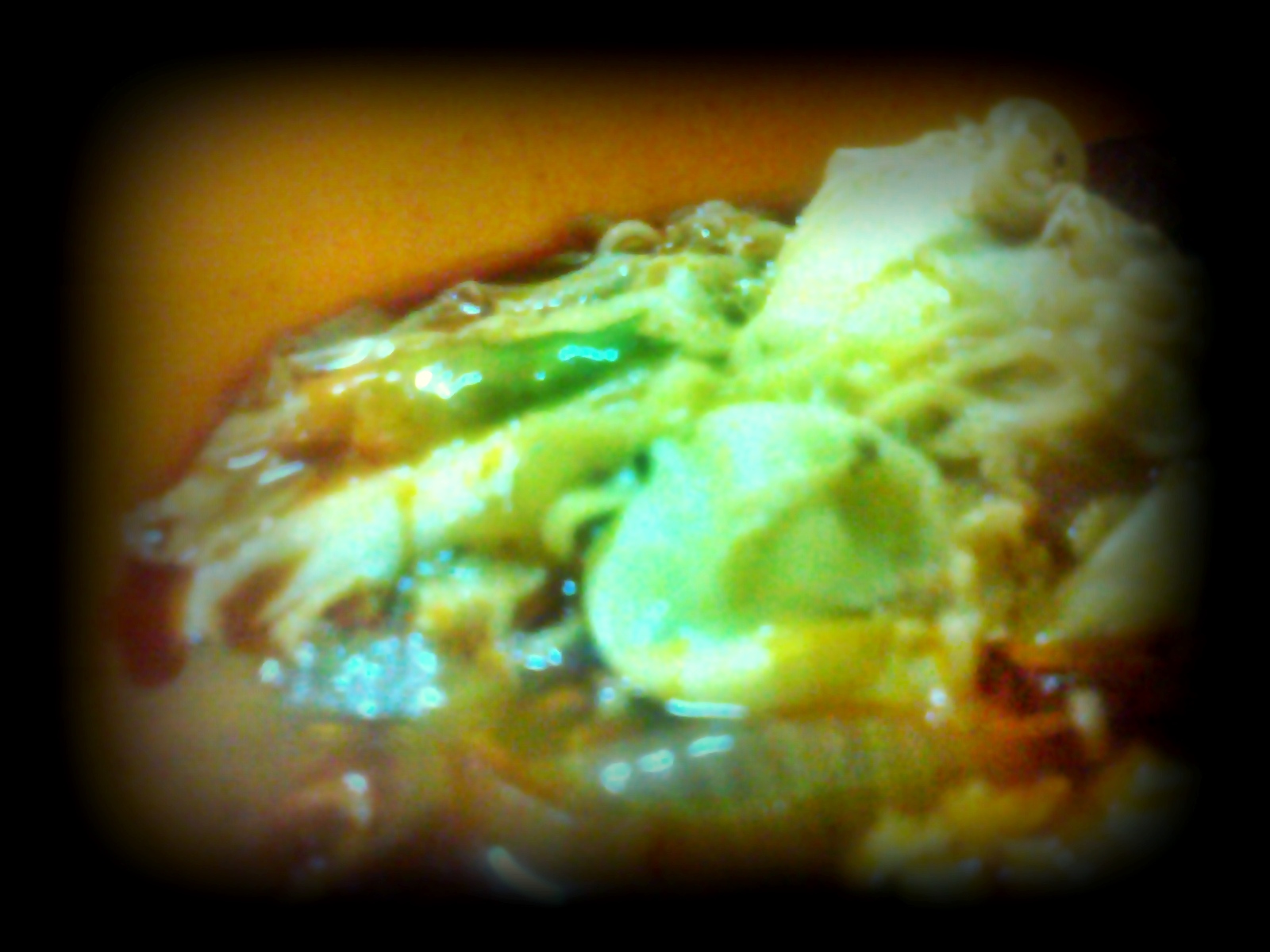 Ikhwan Suhaimi: BiLa perut lapar : maggi kicap ala - ala student