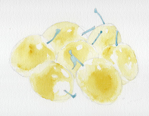 Stoneflower: Seven Plums - watercolour demonstration