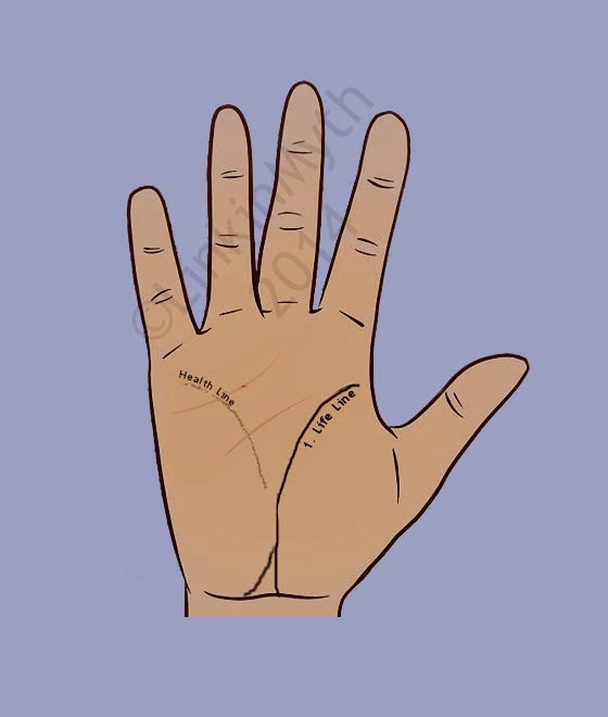 How to read your own Life like a Book within half an hour? No B.S!