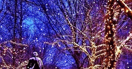 Gif_WINTER_Snowfall_ Animated Image_16 | Joy Design Studio